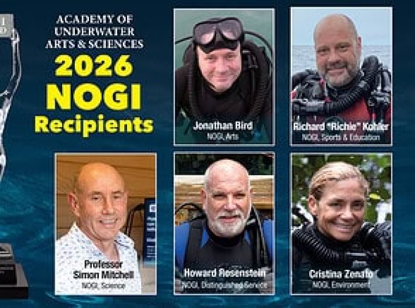 2026 NOGI Winners Announced | News